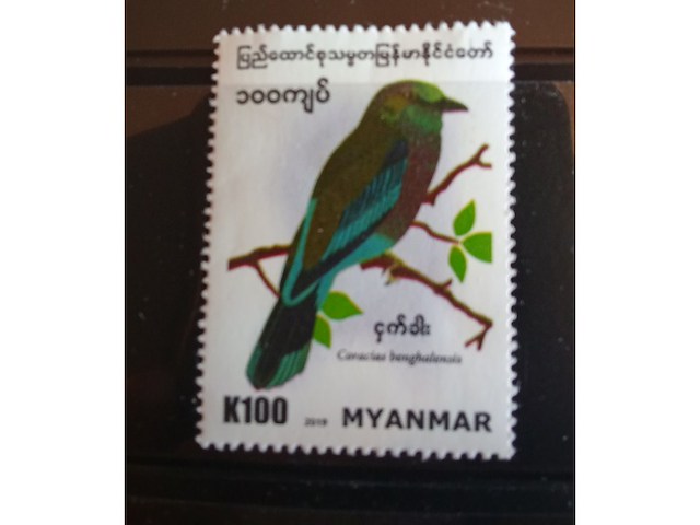 2019 ptice MYANMAR