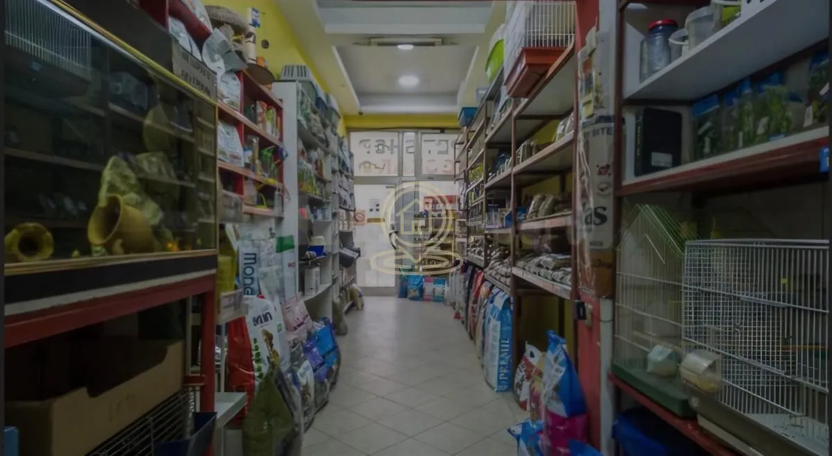 Izdavanje, poslovni prostor, 33m², Detelinara, Novi Sad Sve Podlokacije