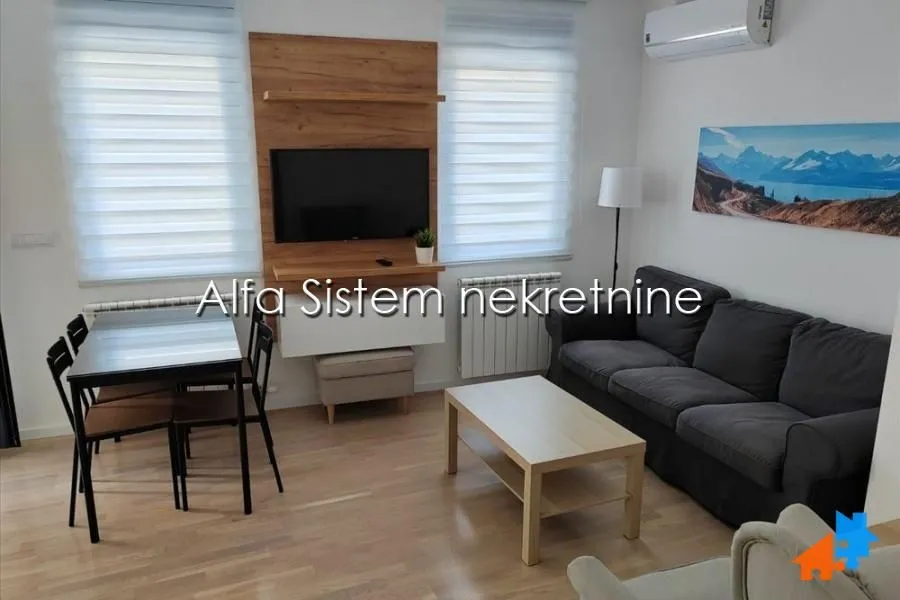 Izdavanje, dvosoban stan, 49m², Vračar Sve Podlokacije, Beograd