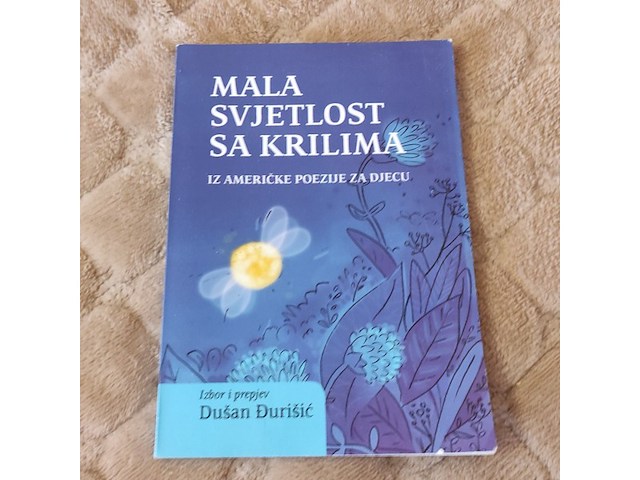 Mala svjetlost sa krilima