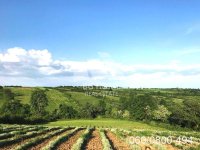Plac na Kosmaju-Mladenovac-Velika Ivanča ID#3721