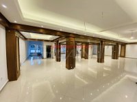 VOZDOVAC Vojvode Stepe ID: 789733596