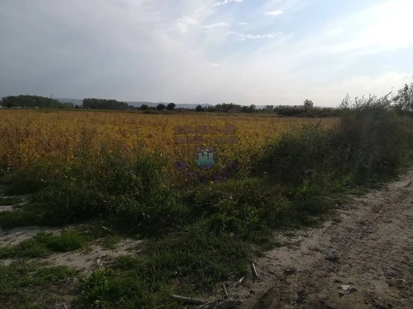 Klisa - Veliki rit, Novi Sad