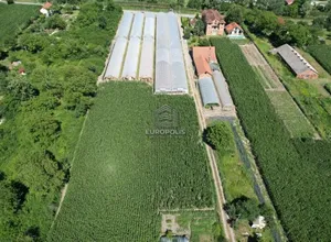Prodaja Građevinsko zemljište - Beograd, Palilula: Krnjača - Kotež - Ovča