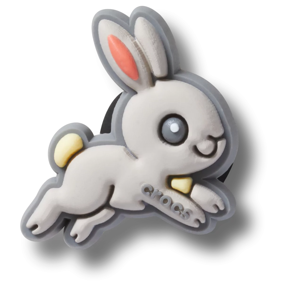 Pet Bunny