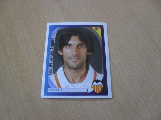 Champions league 20072008  - BR. 446 MIGUEL ANGEL ANGUL