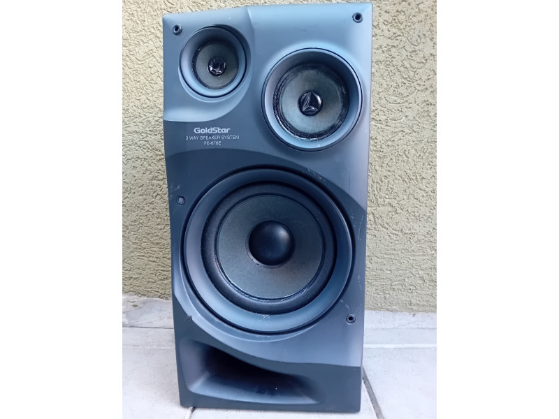 GoldStar FE-676E zvucna kutija 100watt