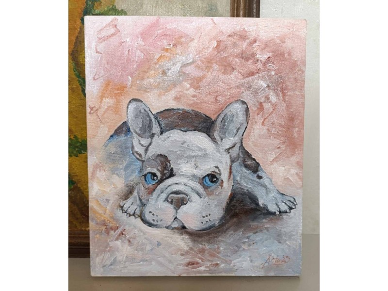 Francuski buldog, ulje na platnu, 30 x25