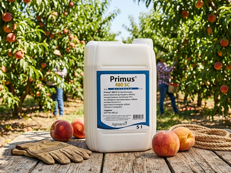 Primus SC