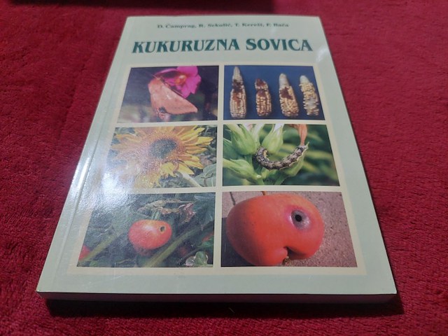 Kukuruzna sovica D. Čamprag