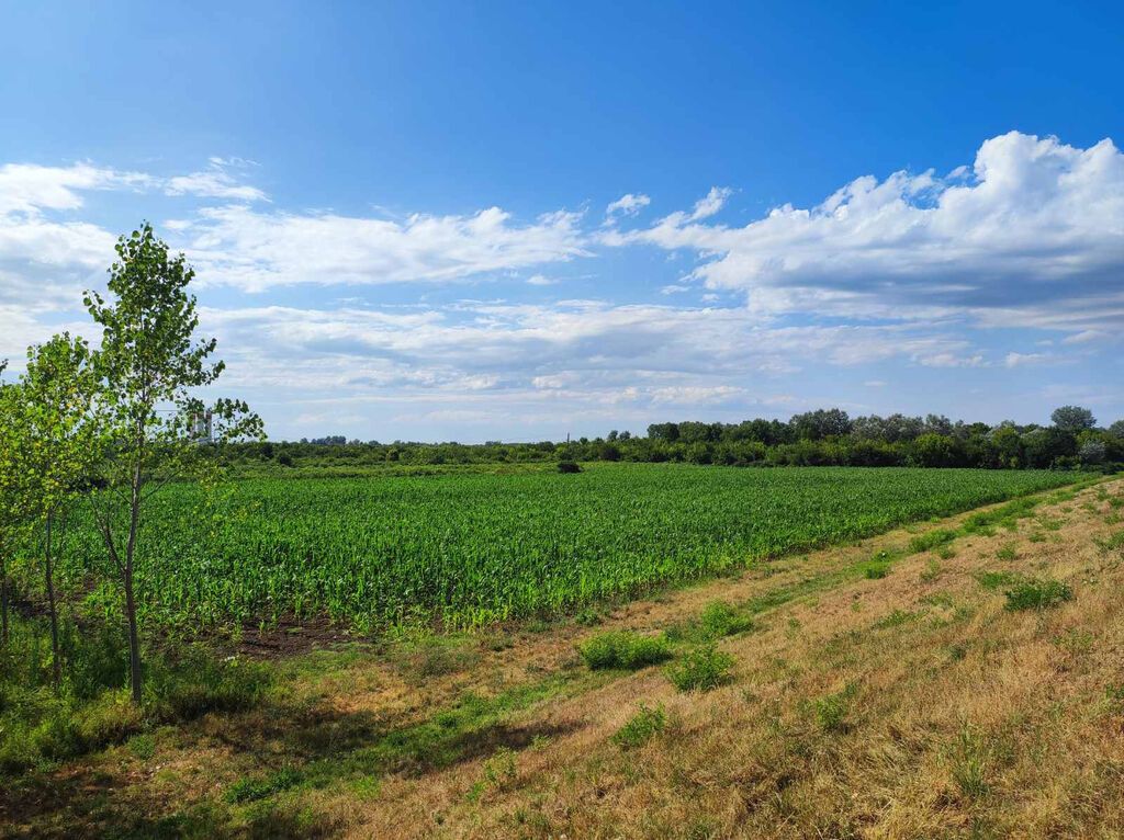 Zemljište na Savi pored Šapca, površine 2.7 ha. Trenutno je obradivo