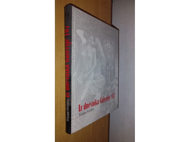 IZ DNEVNIKA GALERIJE 107 - Biljana Amidžić