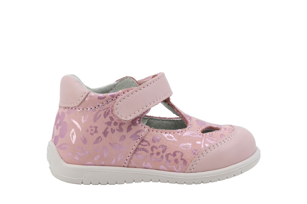 CICIBAN 361024 MARINES CAMELIA