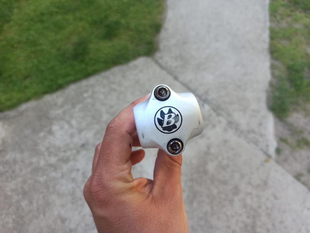 Bontrager lula