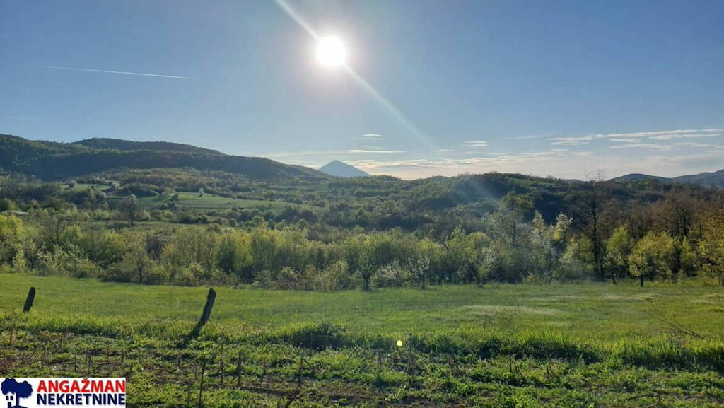 Plac, Boljevac - Bačevica | Prodaja · 15951m² · 5.000€