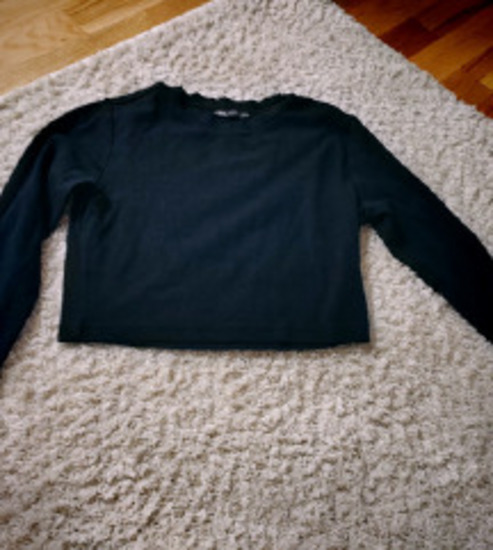 Zara crop top
