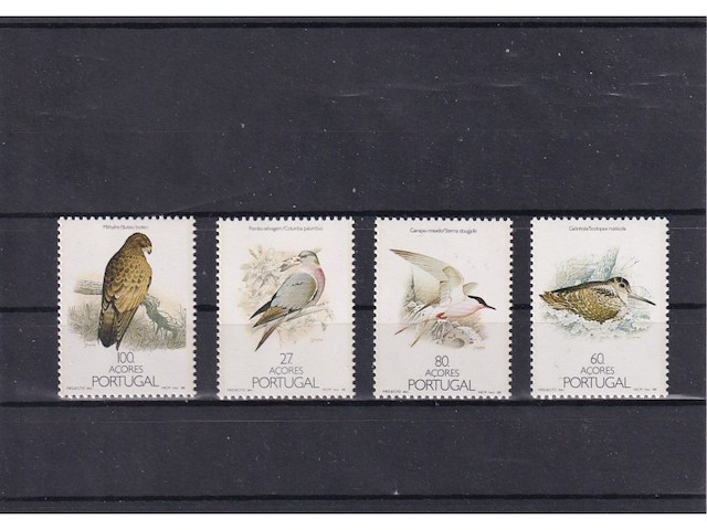 Portugal Acores Fauna