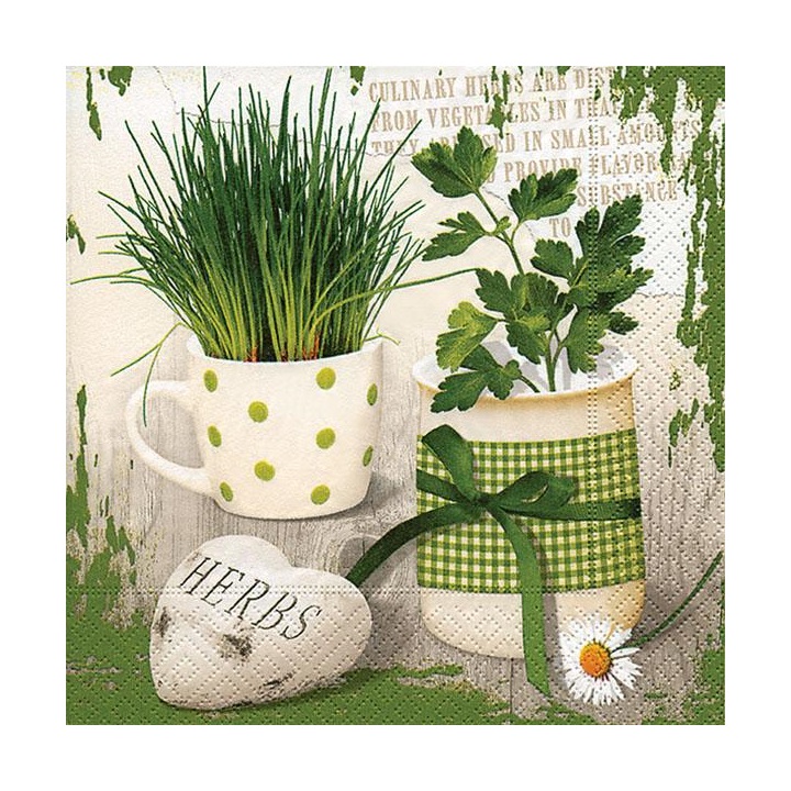 Salvete za dekupaž - Herbs herbarijum - 1 komad