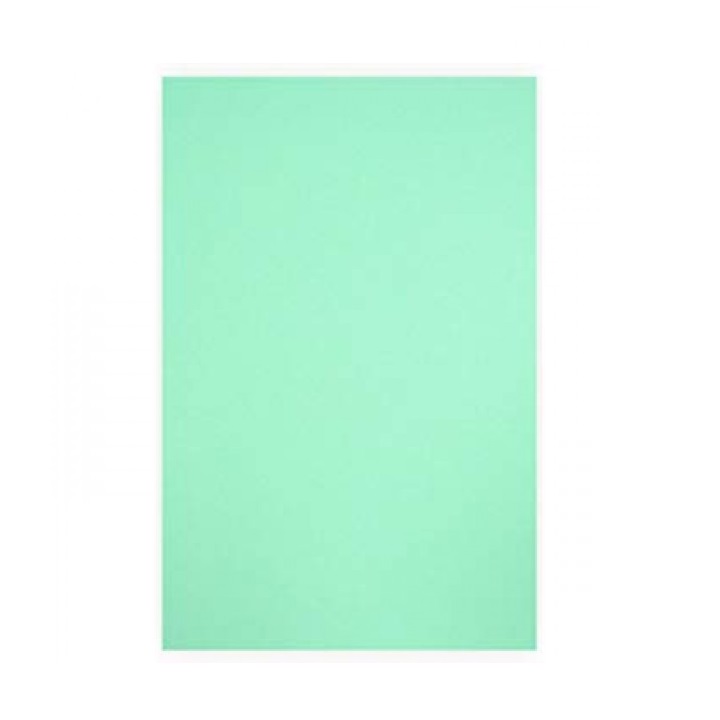 Karton u boji Folia / 100 listova