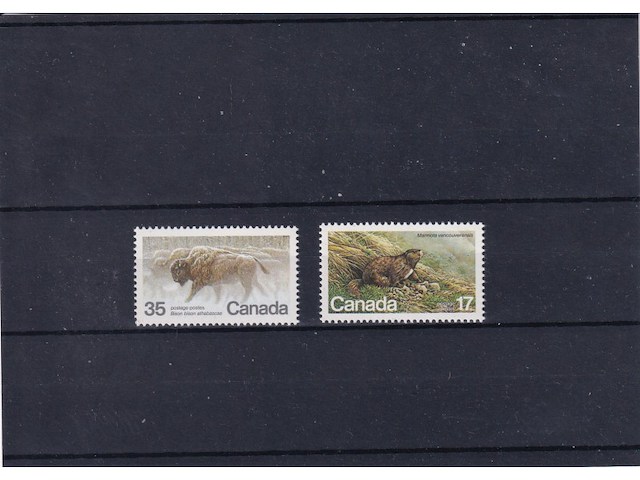 Kanada Fauna
