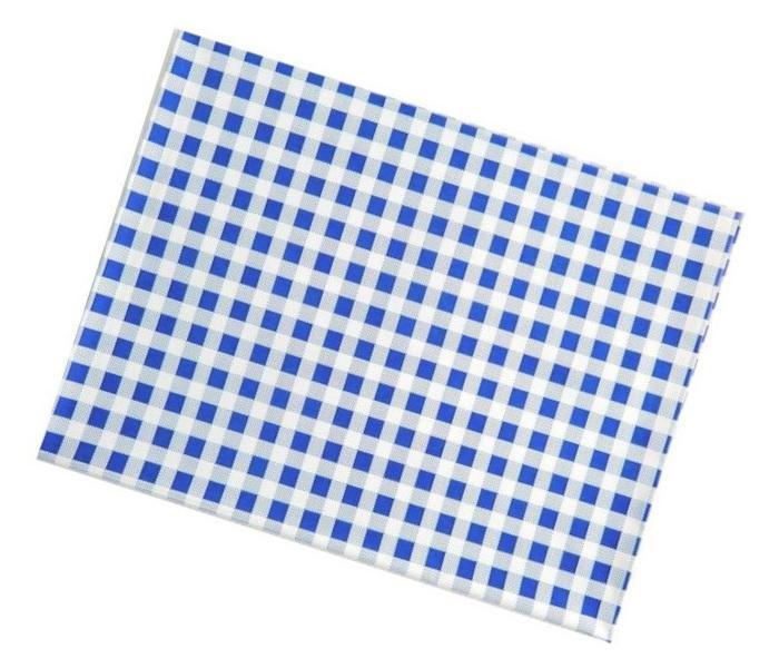 Mušema za likovno - plavi karo