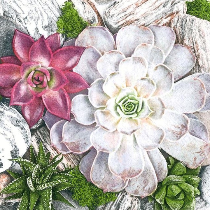 Salveta za dekupaž Succulent Plants and Stones Composition - 1 kom