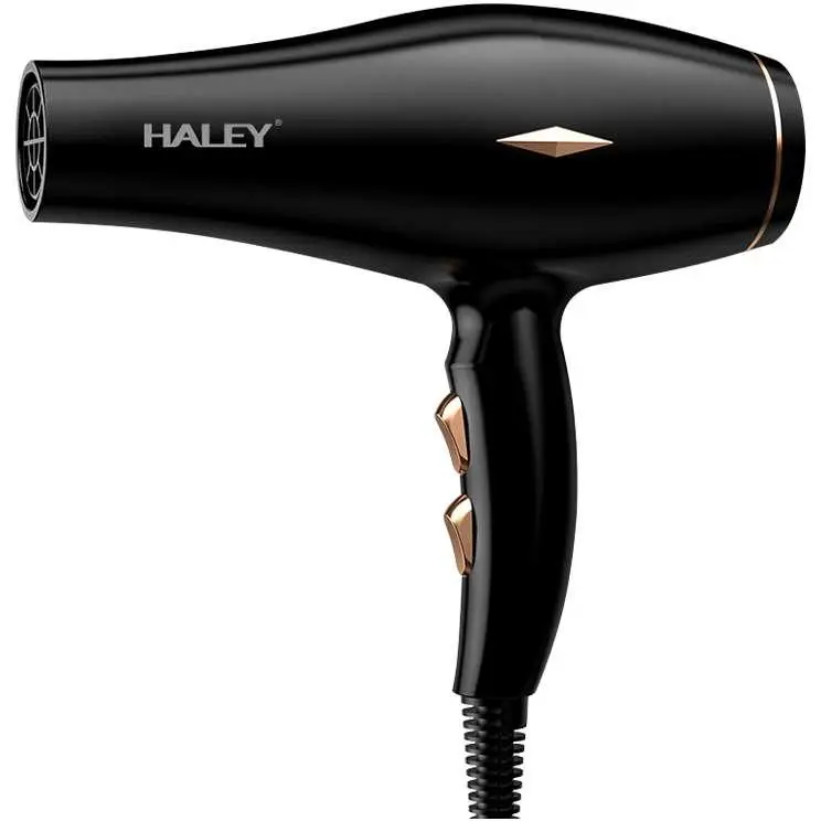 Haley Fen za kosu 2200W Crni HY4031
