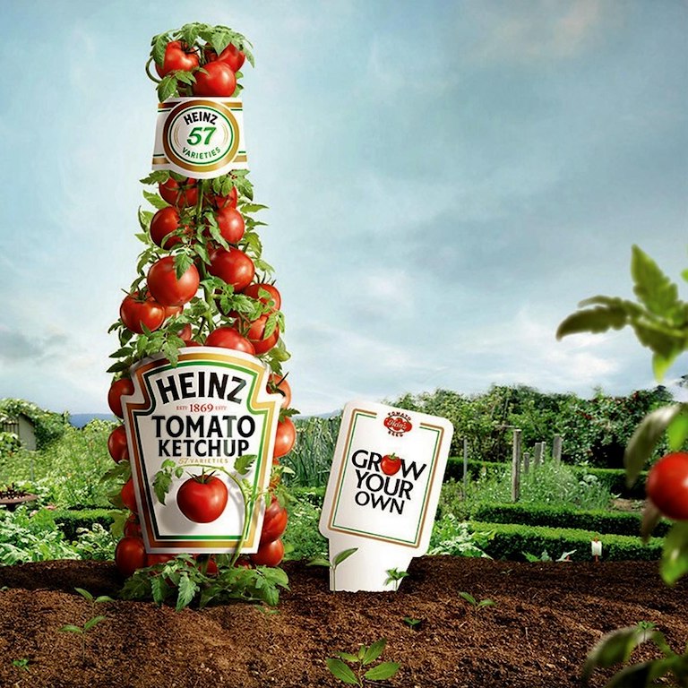 Seme cuvenog paradajza HEINZ-1350