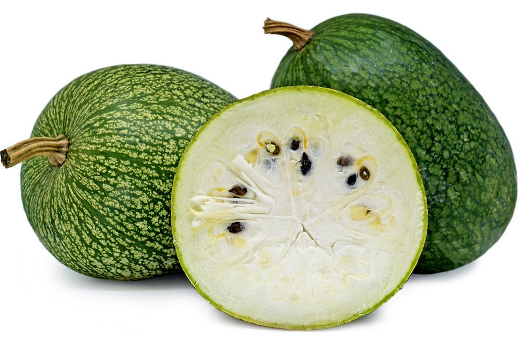Smokvolisna bundeva Seme (Cucurbita ficifolia)