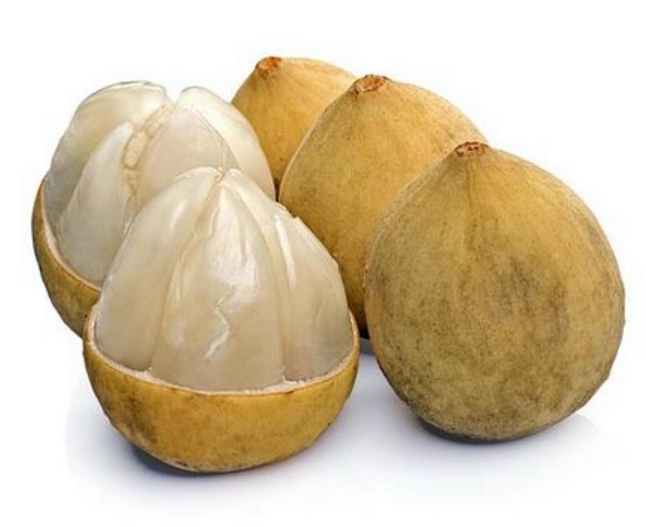 Langsat Seme – Egzoticno Tropsko Voce (Lansium domesticum)