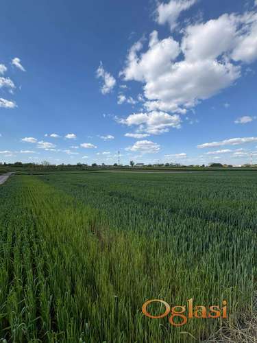 Surduk građevinsko zemljište 600m2