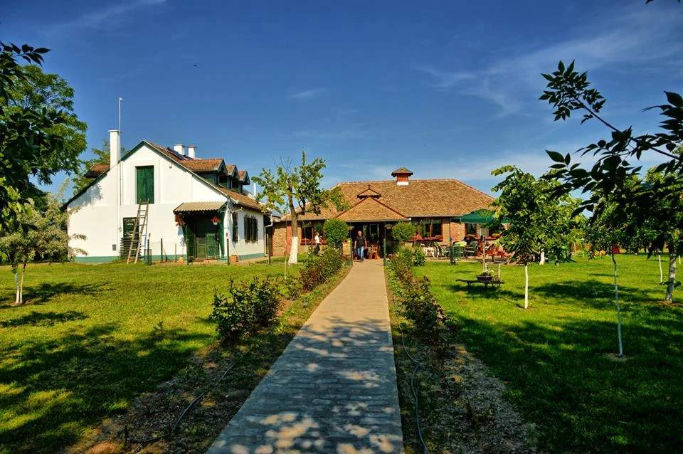 SALAŠ TATIĆ