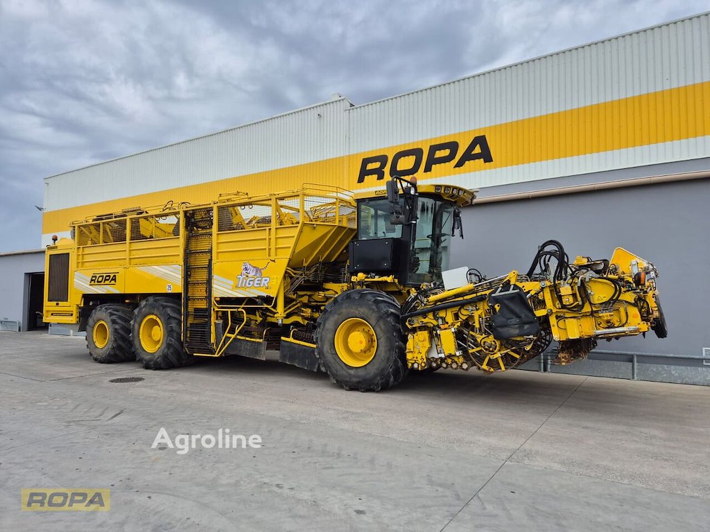 Ropa euro-Tiger V8-4b kombajn za repu