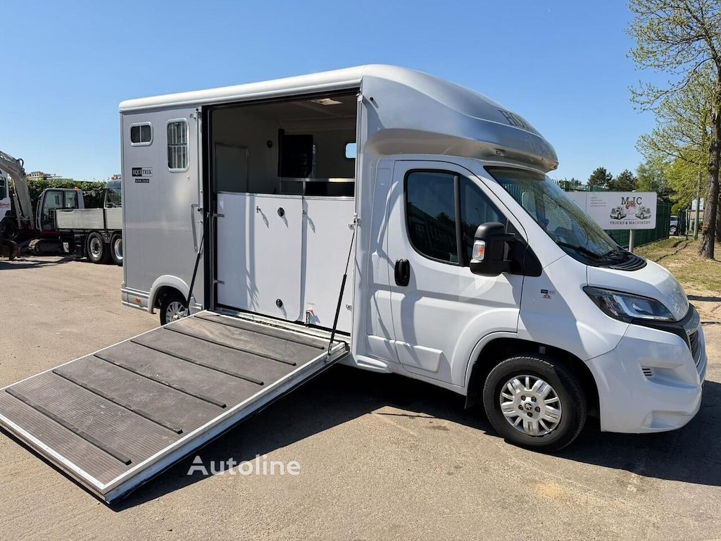 Peugeot Equi-Trek Sonic SW35P (2) HORSE TRUCK / PAARDENCAMION - B RIJBEW vozilo za prevoz konja