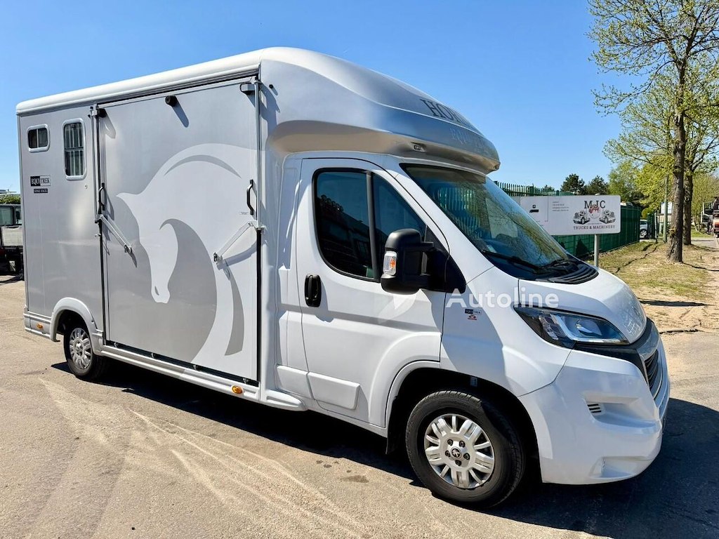 Peugeot Equi-Trek Sonic SW35P HORSE TRUCK (2) PAARDENCAMION - B RIJBEWIJ vozilo za prevoz konja