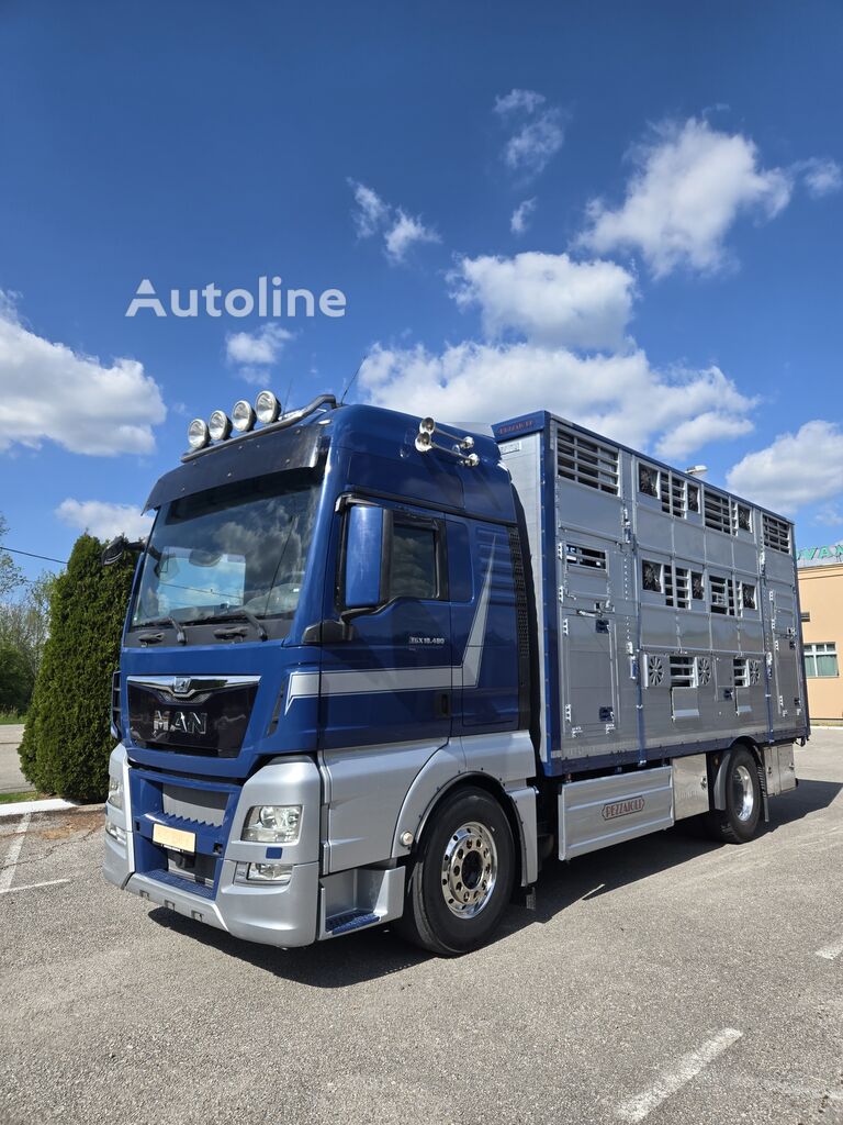MAN TGX 21.480 pezzaioli 3 stock kamion za prevoz stoke
