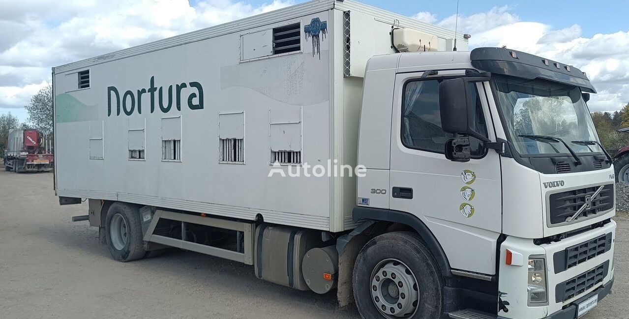 Volvo kamion za prevoz stoke