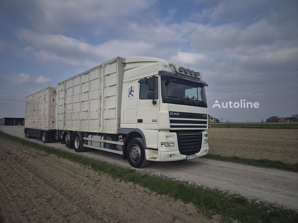 DAF XF kamion za prevoz stoke