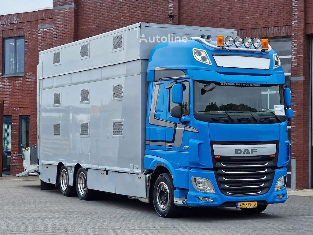DAF XF 510 6x2 SuperSpaceCab - Livestock Cuppers 3 deck - Ventilatio kamion za prevoz stoke