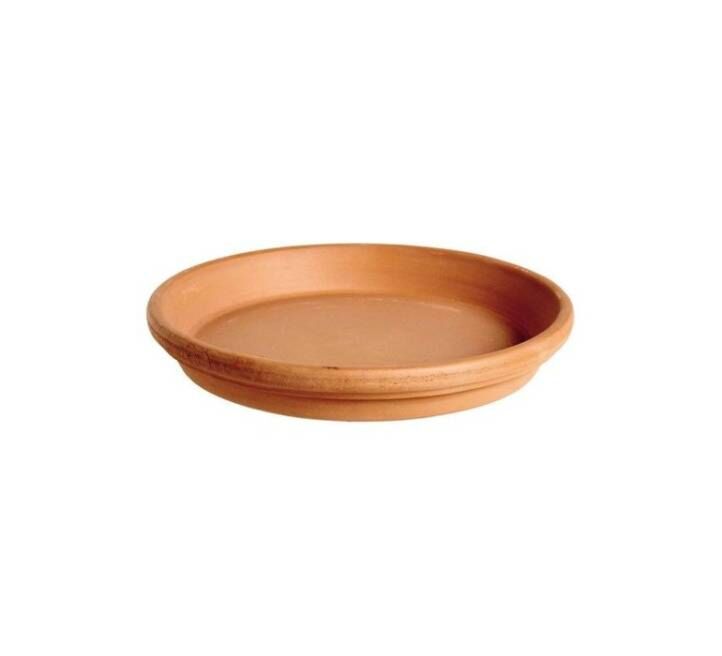 DEGREA TACNA ZA SAKSIJU TERRACOTTA GRAFFIATA 21 CM