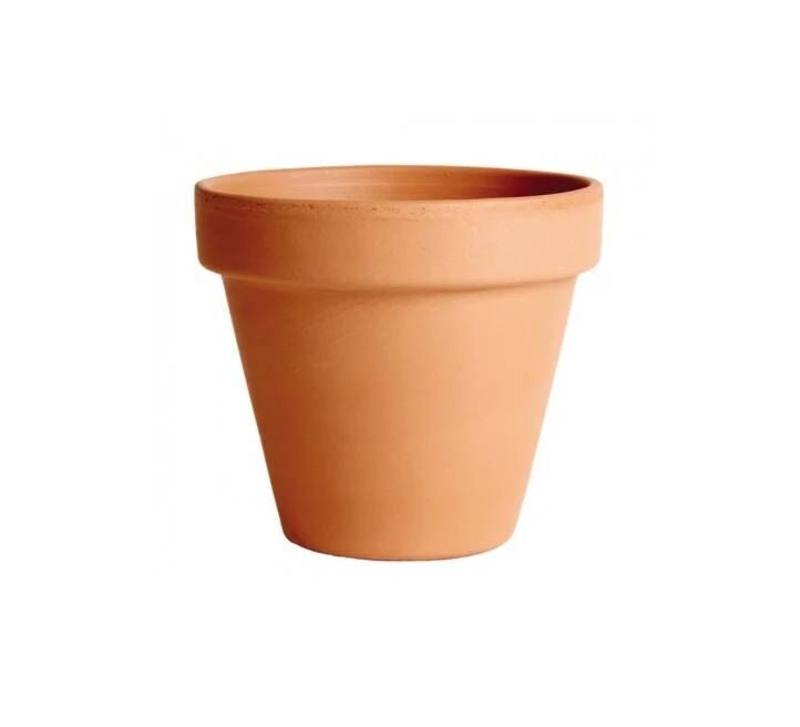 DEGREA SAKSIJA TERRACOTTA CLASSICA 15 CM
