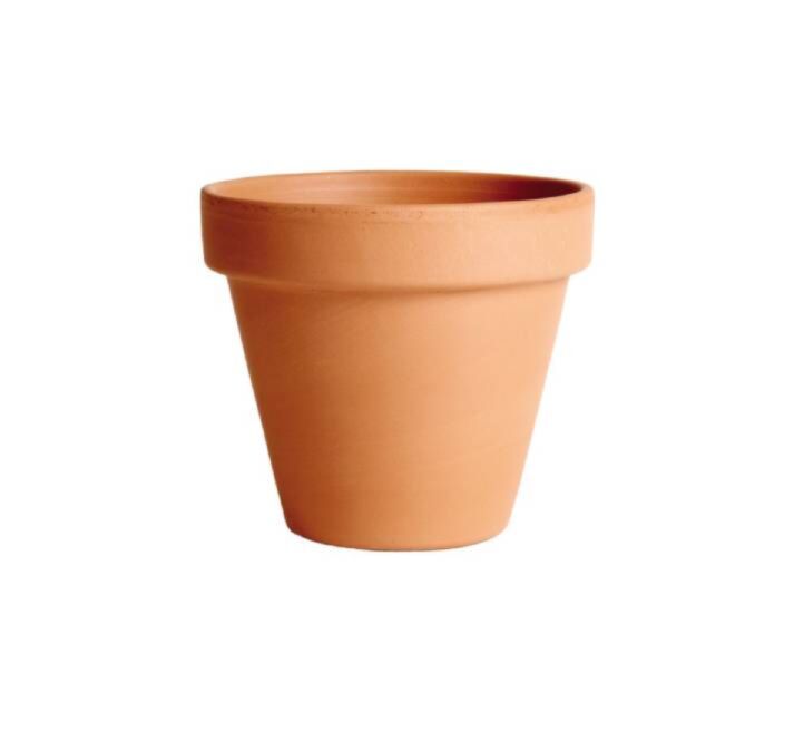DEGREA SAKSIJA TERRACOTTA CLASSICA 17 CM