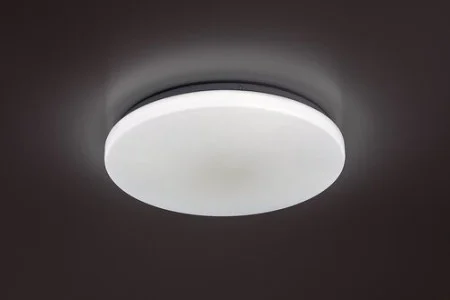 Rabalux Danny2 Plafonjere ( 71442 )