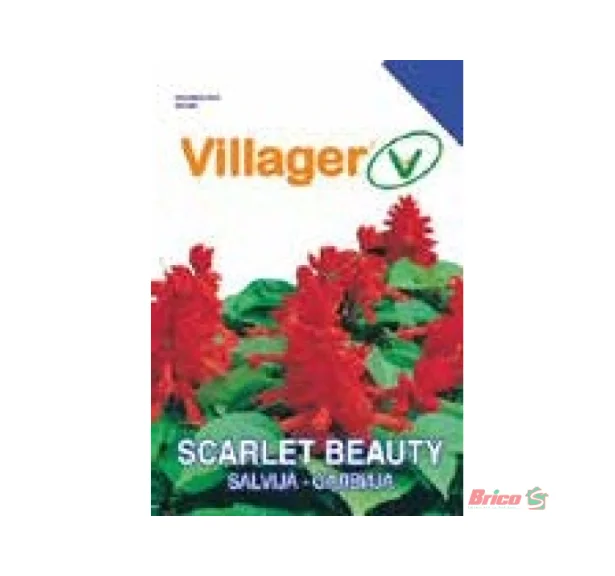 SEME C.SALVIJA-SCARLET BEAUTY 0,2 GR