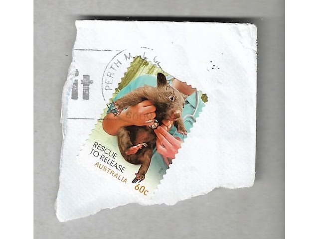 (M) markica 2010 Australija 60c  Wombat