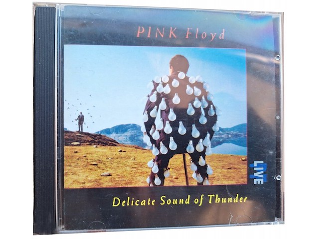 2CD*: PINK FLOYD - Delicate Sound Of Thunder (2002) NM