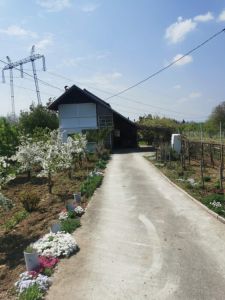 Prodajem kuću u Po-130 m², 33 ari 70000e