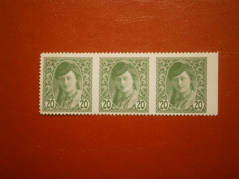 BiH 1913. 20 HELERA GREŠKE