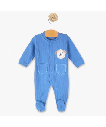 Just Kiddin Baby zeka za dečake sa stopicama veličina 56 Born to Fly Plava 17002263