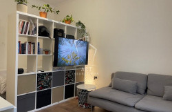 Retko u ponudi, mereno 39 m2 ID#14922